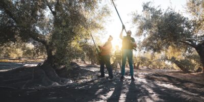 Nuevos contratos temporales que entran hoy en vigor